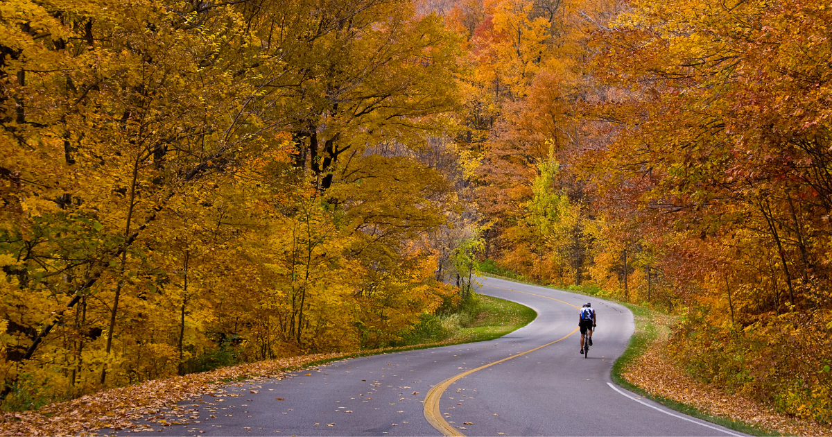 Why Autumn is one of the best times to Cycle! – Sonabikes